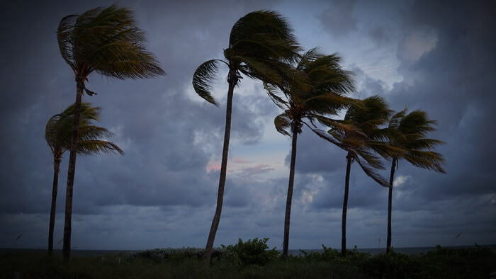 Pop Up Disaster Relief Comes To Puerto Ricos Aid Giving Compass
