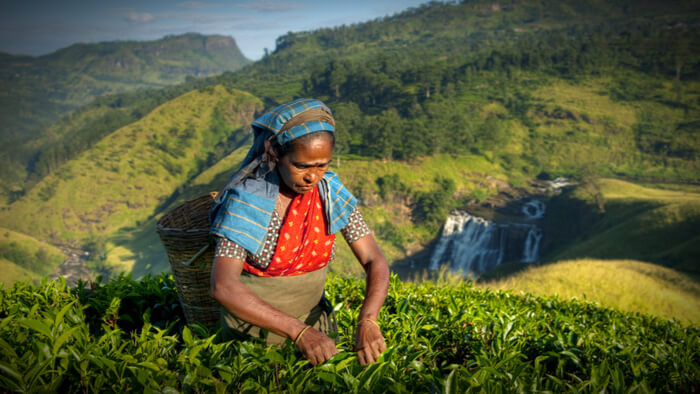 Ensuring Land Protection for Indigenous People - Giving Compass