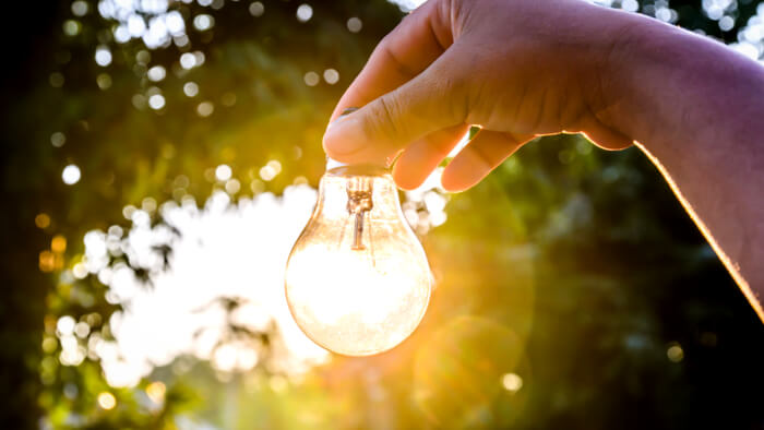 How Companies Successfully Build Sustainability and Inclusivity in ...