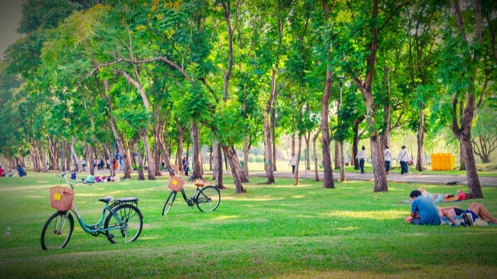 How Cities Can Get the Most Out of Their Parks - Giving Compass