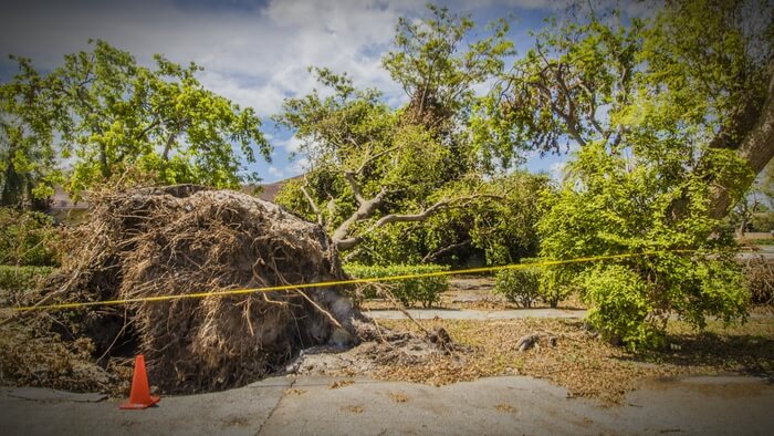 Operation Everglades City Brings Relief to Hurricane-Ravaged Area ...