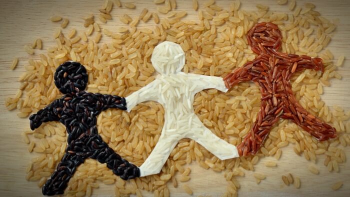 Fight Hunger by Raising Awareness - Giving Compass