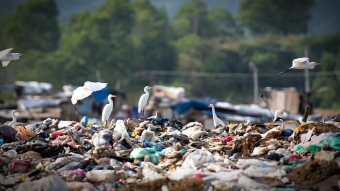 Scaling Global Sanitation Necessities - Giving Compass