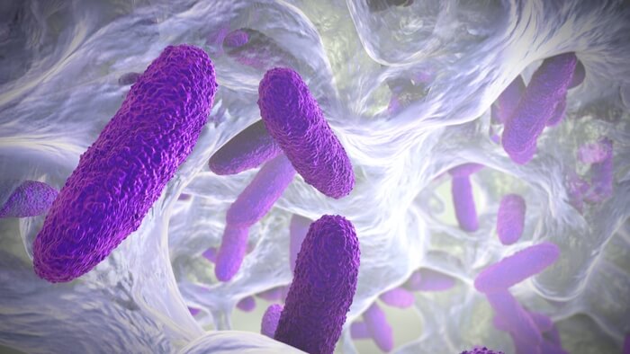 A New Weapon In the Fight Against Superbugs [Video] - Giving Compass