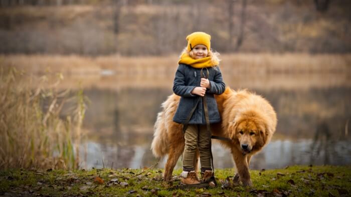 Human-Dog Bond Provides Clue to Treating Social Disorders - Giving Compass