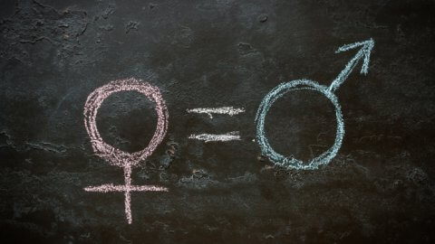 Incorporating a Gender Lens in Your Measurement and Evaluation Efforts ...