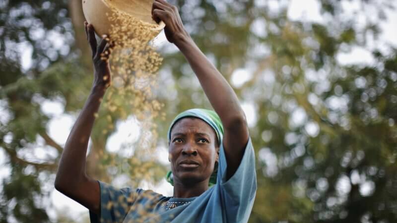 Ghana's Unique Challenge: Enhancing Food and Nutrition Security ...