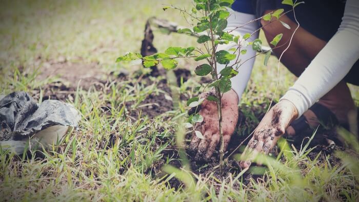 Environmental Restoration Innovation Will Impact Climate Change ...