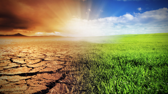 Three Ways We Can Be More Climate Resilient - Giving Compass