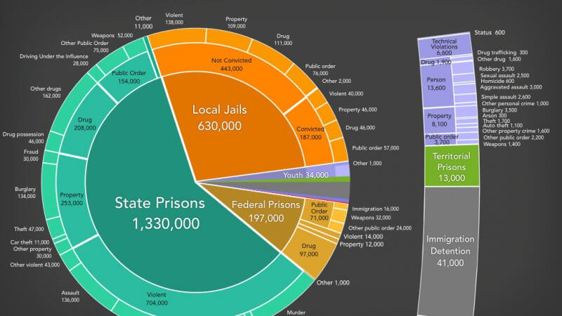 Important Data Visualizations About Prisons Statistics in 2017 - Giving ...