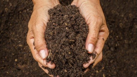 Soil Carbon Sequestration Is A Solution To Climate Change - Giving Compass