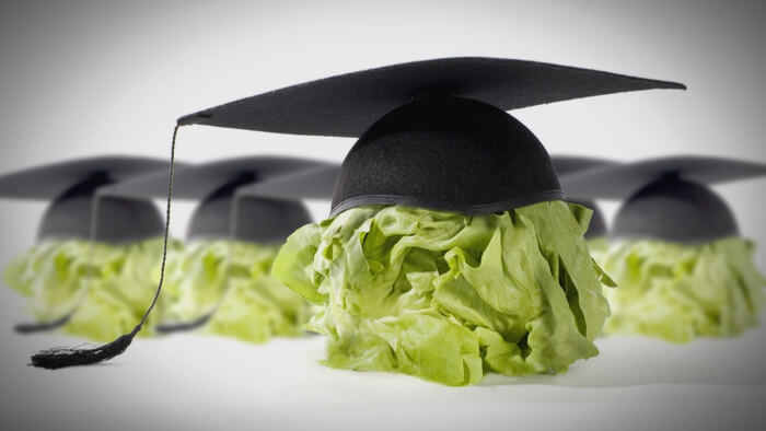 Bringing Food Security to College Campuses - Giving Compass