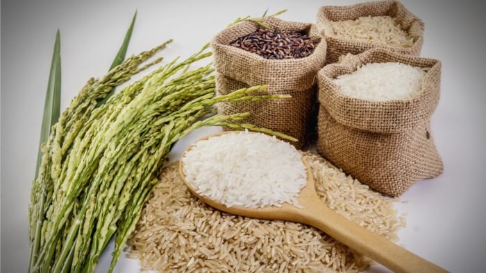 The More Adequate, Equitable, and Sustainable Way To Meet Rice Demand ...