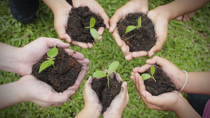 The Power of Community Supported Agriculture - Giving Compass