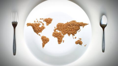 The Push to End World Hunger by 2030 - Giving Compass