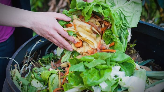 Creating a Marketplace for Surplus Food - Giving Compass