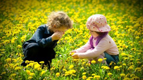 What Children Can Teach Us About Looking After the Environment - Giving ...