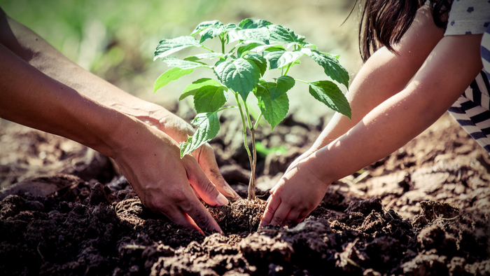 Letting Kids Decide What it Means to Be Green - Giving Compass