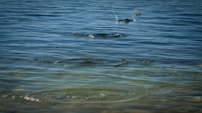 Small Stone, Big Ripple: 12 Strategies for Spreading Your Small Grant ...