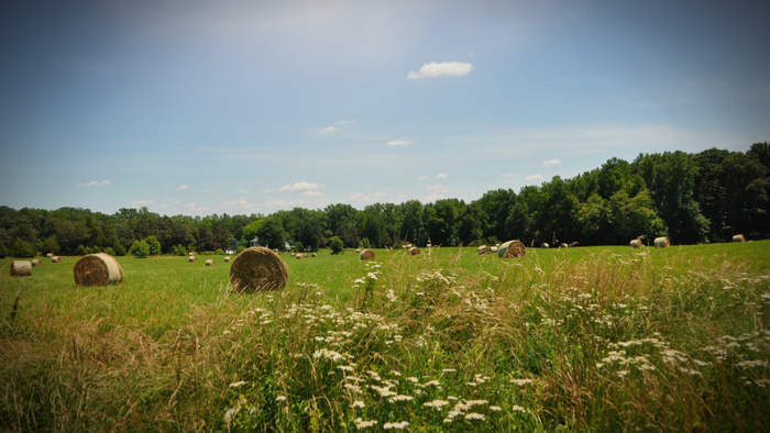 Small Town Rural Communities Lacking Broadband Also Lack Economic ...