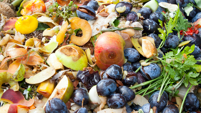 France Leads the World in Ending Food Waste - Giving Compass