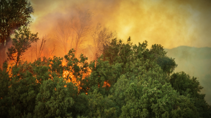 Southern California Wildfire Relief: How to Help - Giving Compass