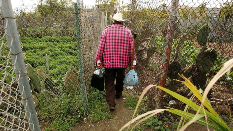 Inside an Unsuccessful Effort to Turn Vacant Lots Into Urban Farms ...