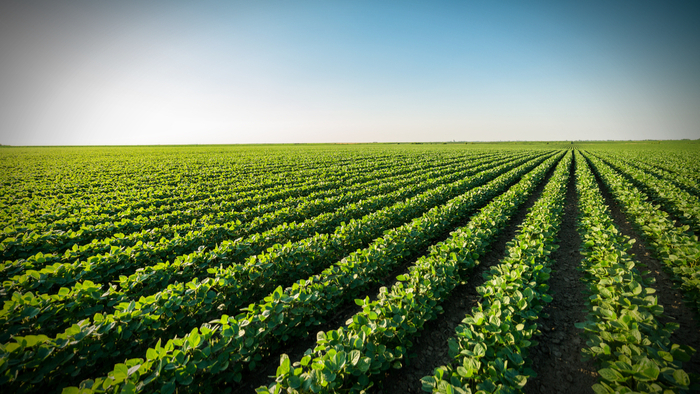 New Project to Measure and Monitor Environmental Impacts of Crops ...