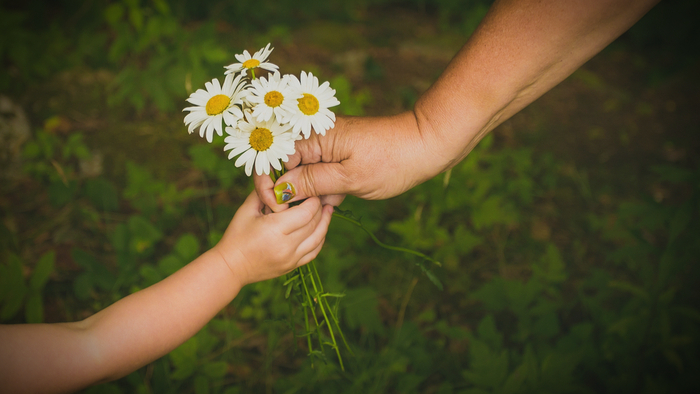 How Small Acts of Giving Can Create a Global Impact - Giving Compass