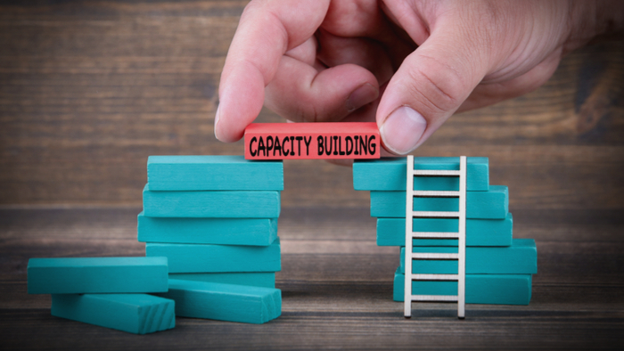 Capacity Building: The Key to Sustainable Movements - Giving Compass