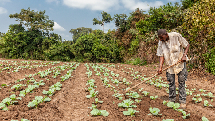 How Aquaculture Helps Disabled Farmers in South Africa - Giving Compass