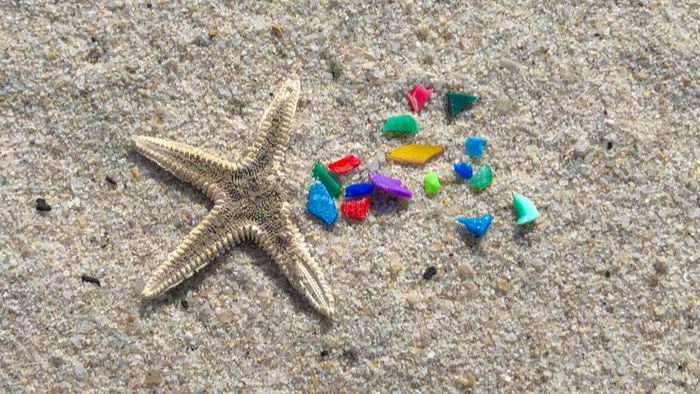 This Seventh Grade Girl Built a Robot That Can Find Microplastics in ...