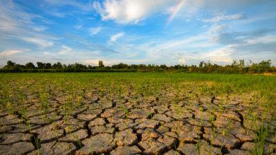 Foundations Are Prioritizing Climate Change - Giving Compass