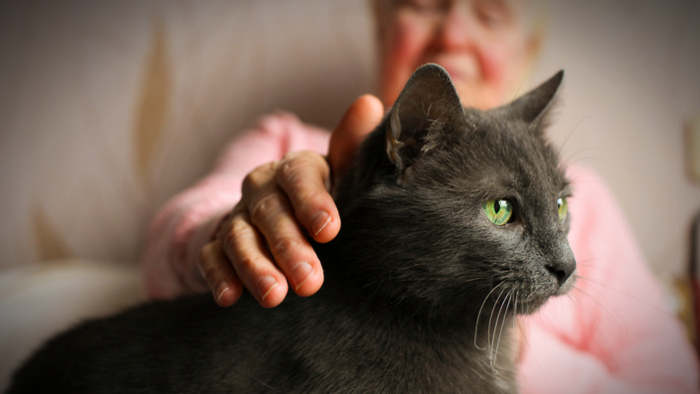Why Helping Seniors with Pets Is Good for Both - Giving Compass