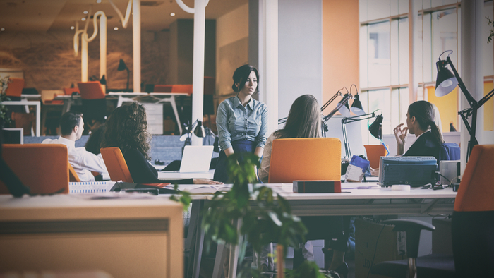 The Employee-Owned B Corp: An Enterprise Design for the 21st Century ...