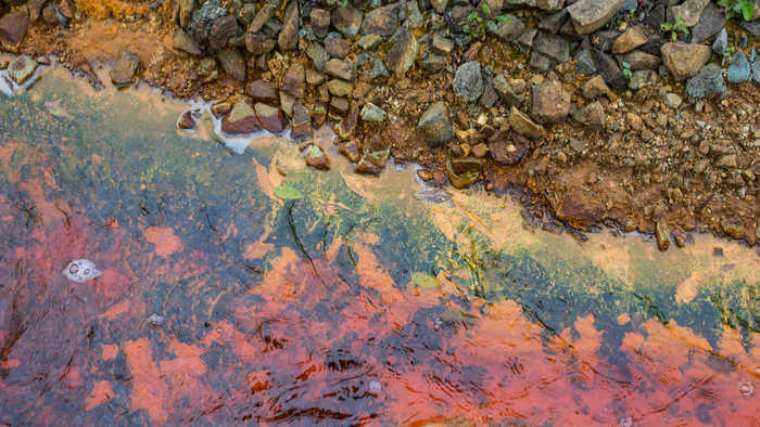 Figuring Out How to Clean Up Toxic Mining Waste With Microbes - Giving ...