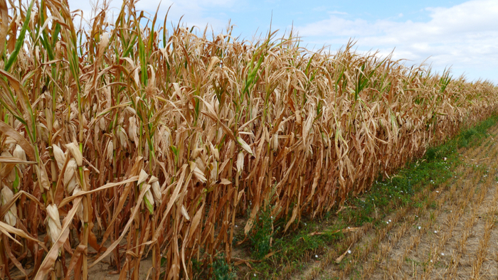 The Southwest May Be Deep into a Mega-Drought Caused by Climate Change ...