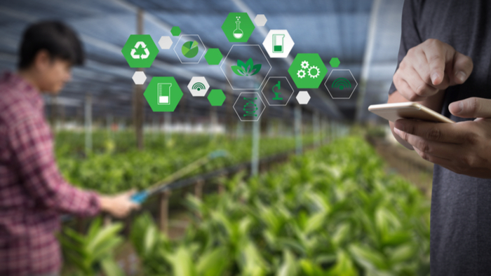 How to Improve the Food System Through Nurturing Entrepreneurship ...