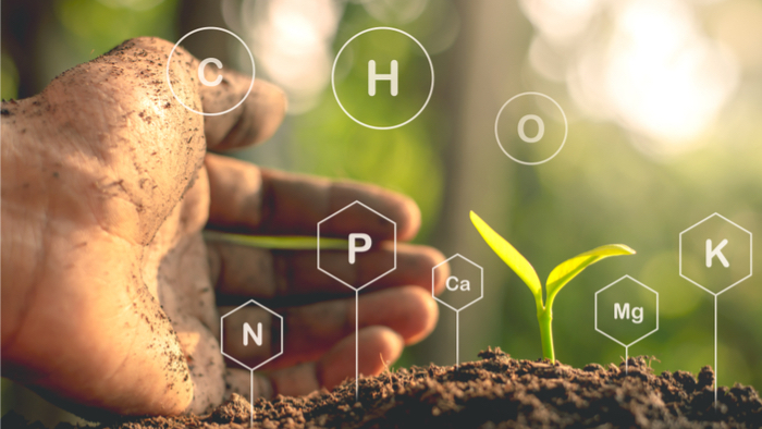 Soil Minerals Hang on to a Whole Lot of Carbon - Giving Compass