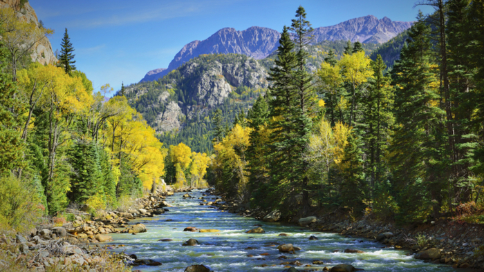 The Benefits of Prioritizing Healthy Rivers - Giving Compass