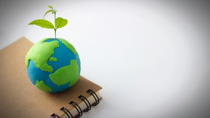 Why Saving the Planet Is Good for Business - Giving Compass