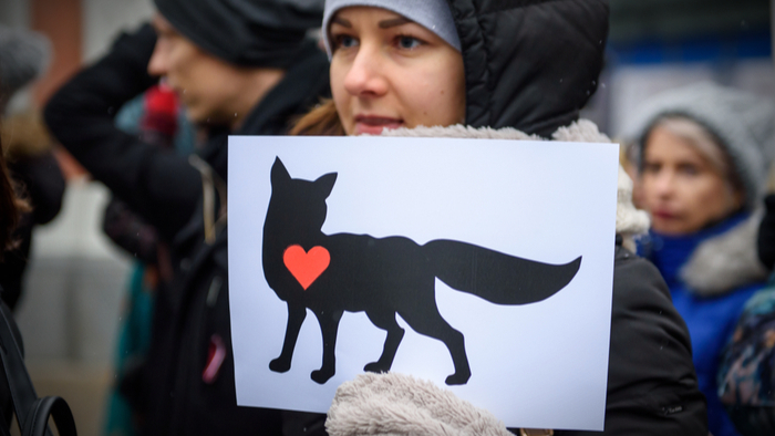How Can Animal Advocates Support Other Movements? - Giving Compass