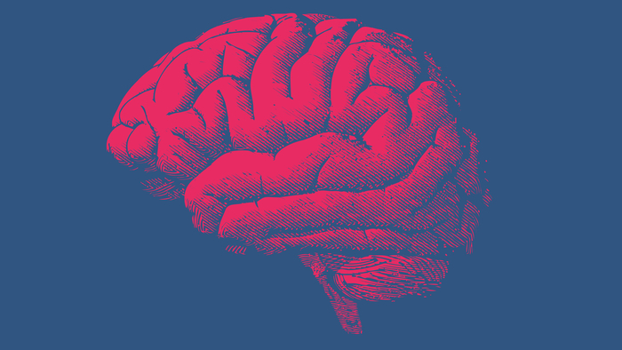 How Growing Up in Poverty Affects the Brain - Giving Compass