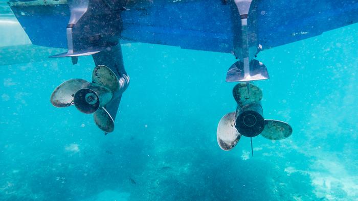 The Severe Impact of Noisier Oceans on Marine Life - Giving Compass