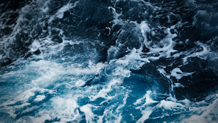 Understanding the Ocean as a CO2 Sink - Giving Compass