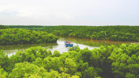 How Drones Are Saving Myanmar's Famous Mangrove Forests - Giving Compass