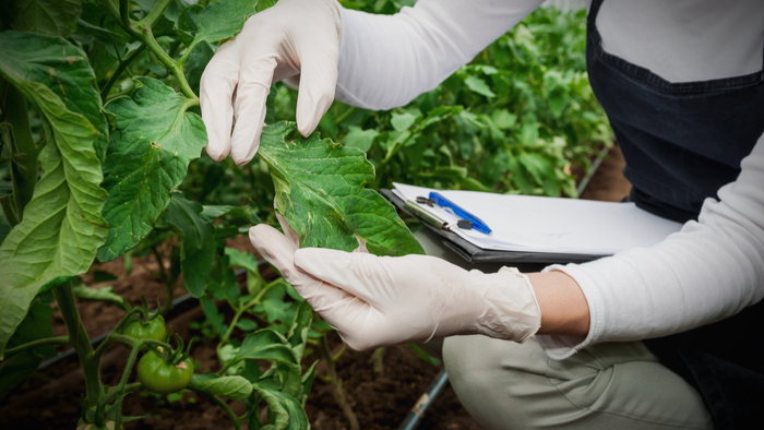 Focusing on Protective Foods to Reduce the Global Burden of Disease ...