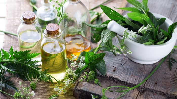 These Medicinal Plants Stop Cancer Growth - Giving Compass