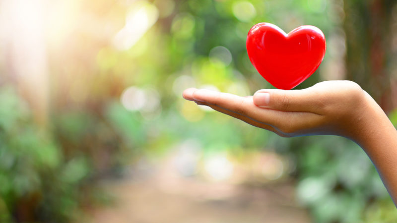 Philanthropy Must Only Support Causes with Love for Humanity - Giving ...