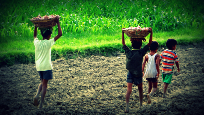 Fighting Child Labor to Fight Poverty - Giving Compass
